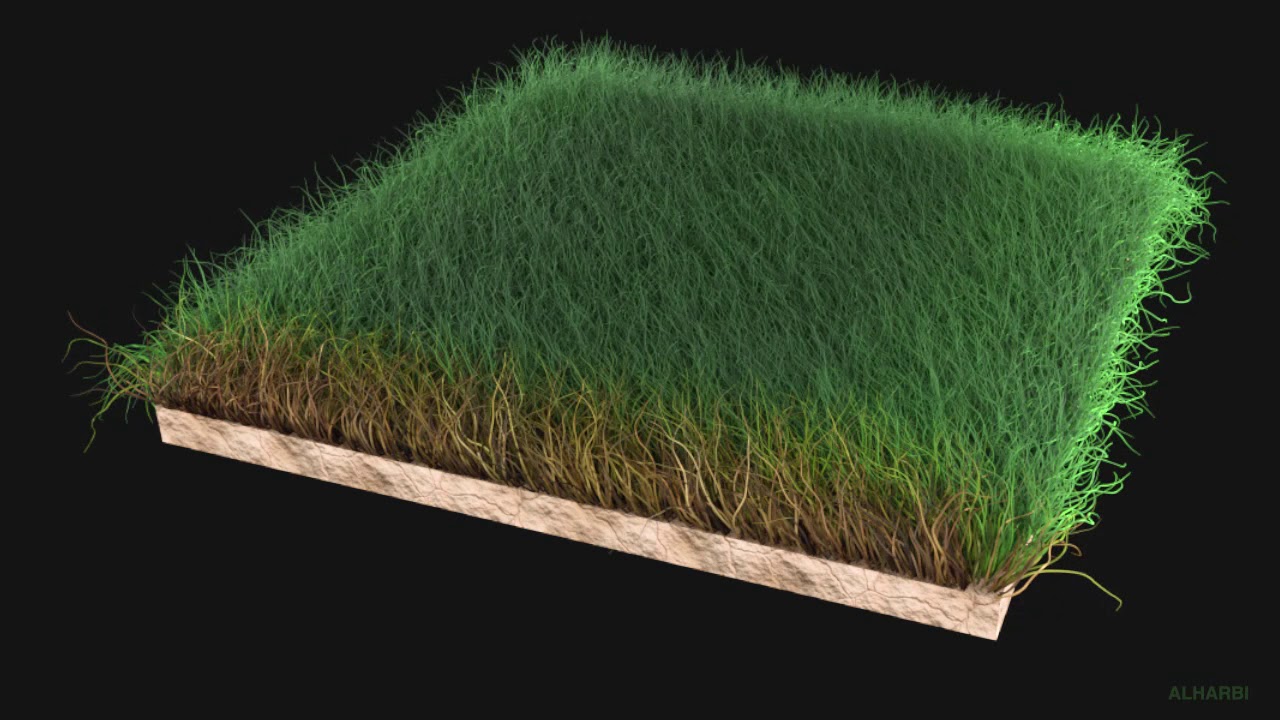 Cinema 4d Hair System For Grass On Redshift YouTube cinema-4d-hair-system-for-grass-on-redshift-youtube
