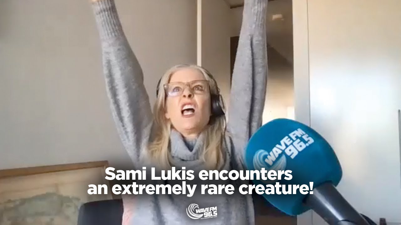 Sami Lukis encounters a rare creature - YouTube