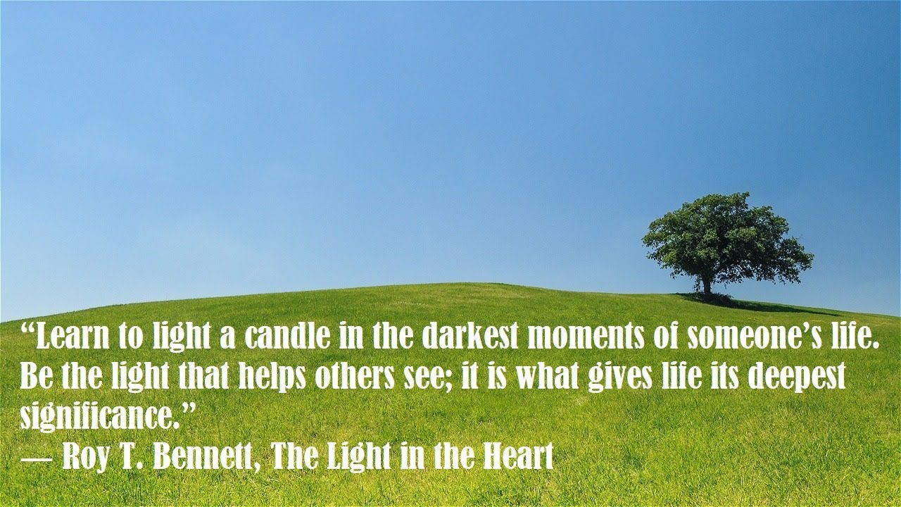 Nature Sounds - Deep In the Meadow - YouTube