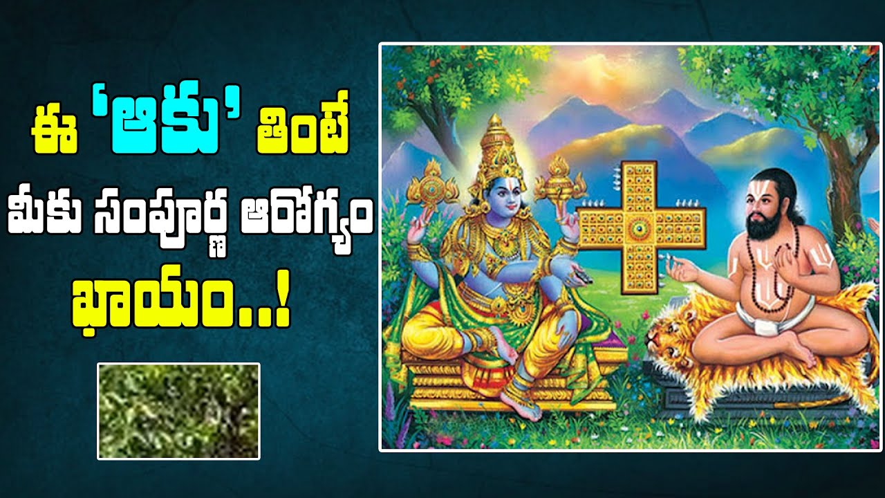 ఈ ఆకు తింటే చాలు..సంపూర్ణ ఆరోగ్యం..! Hathiram Baba Life History ...