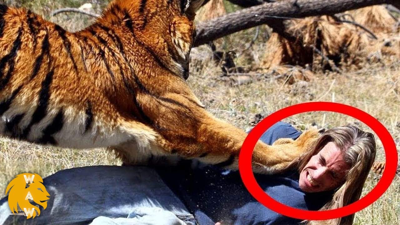 10 Scary Zoo Animal Attacks Caught on Camera - Will You Ever Visit a ...