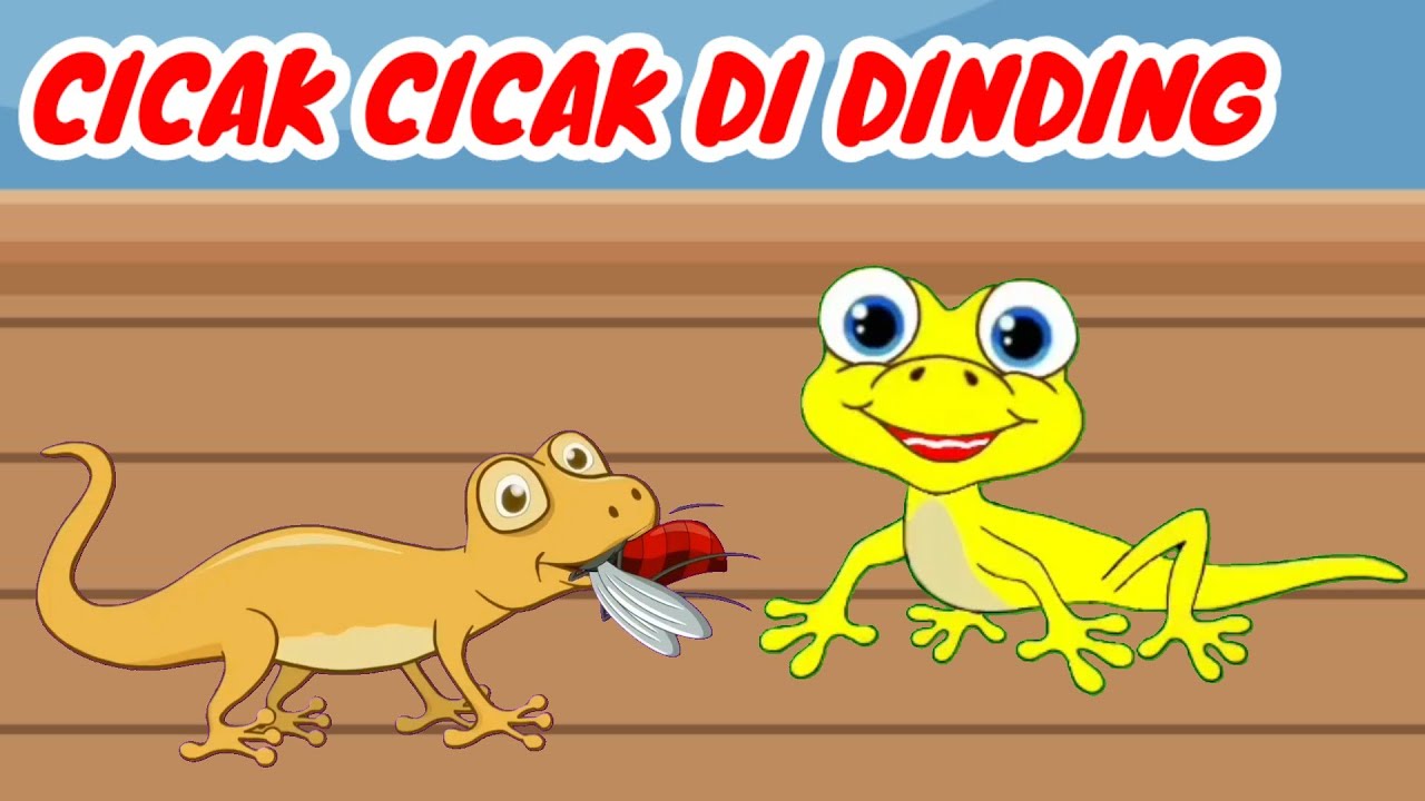 LAGU ANAK CICAK CICAK DI DINDING 🦎Lagu Anak Indonesia terpopuler - YouTube