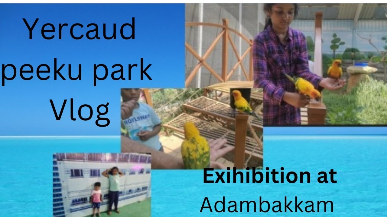 Two trips vlog.. yercaud peeku park must visit place.. - YouTube