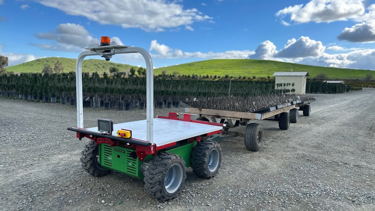 Burro Grande - YouTube