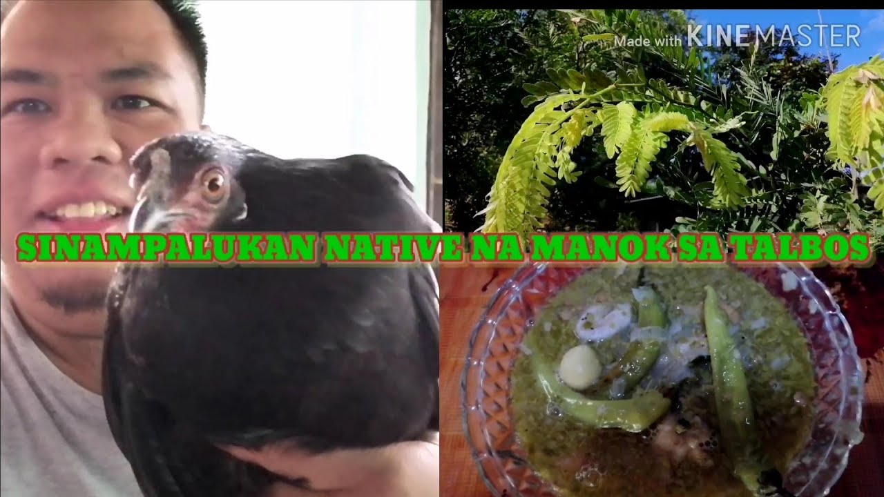 SINAMPALUKAN NATIVE NA MANOK SA TALBOS NG SAMPALOK RECIPE - NOVO ...