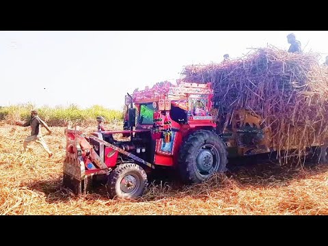 Messey 260 tractor pulling sugarcane trolley |tractor pulling engine ...
