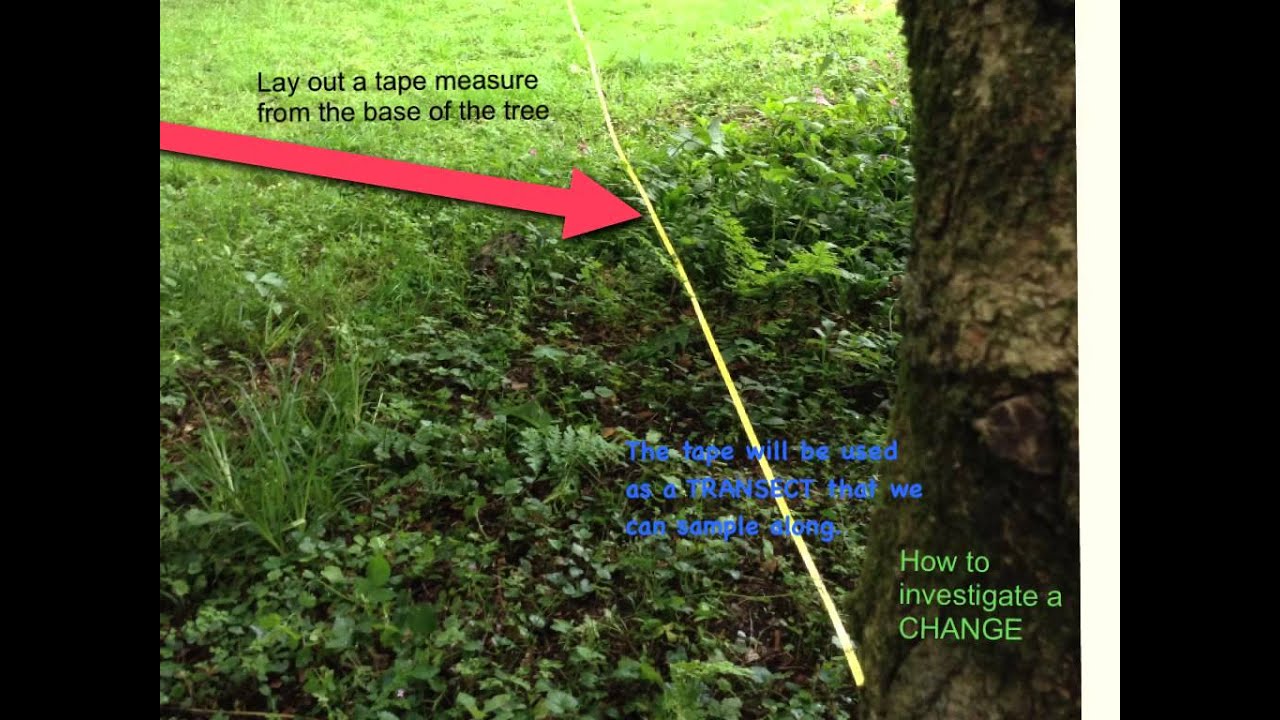 GCSE Y11 Organisms in their environment - YouTube