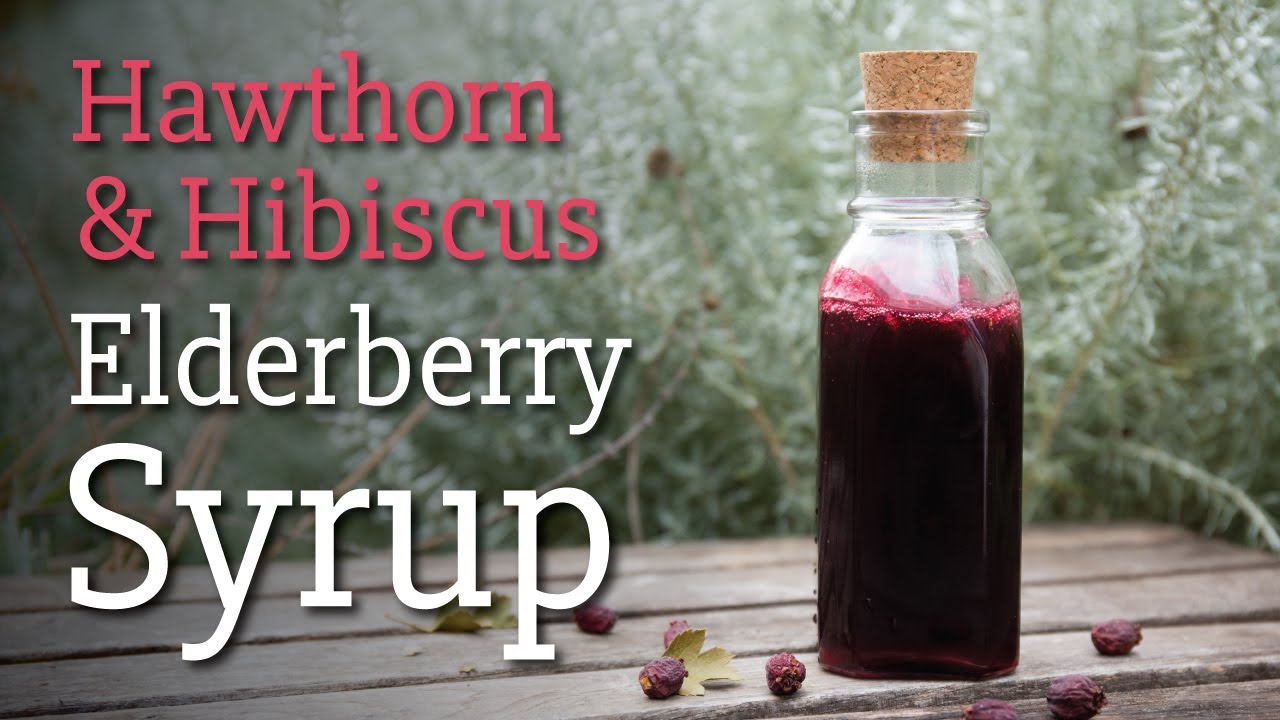 How to Make Hawthorn & Hibiscus Elderberry Syrup (Cardiovascular ...