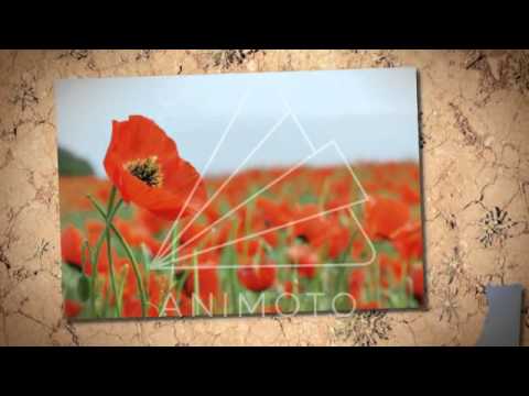 Təbiət mənzərələri