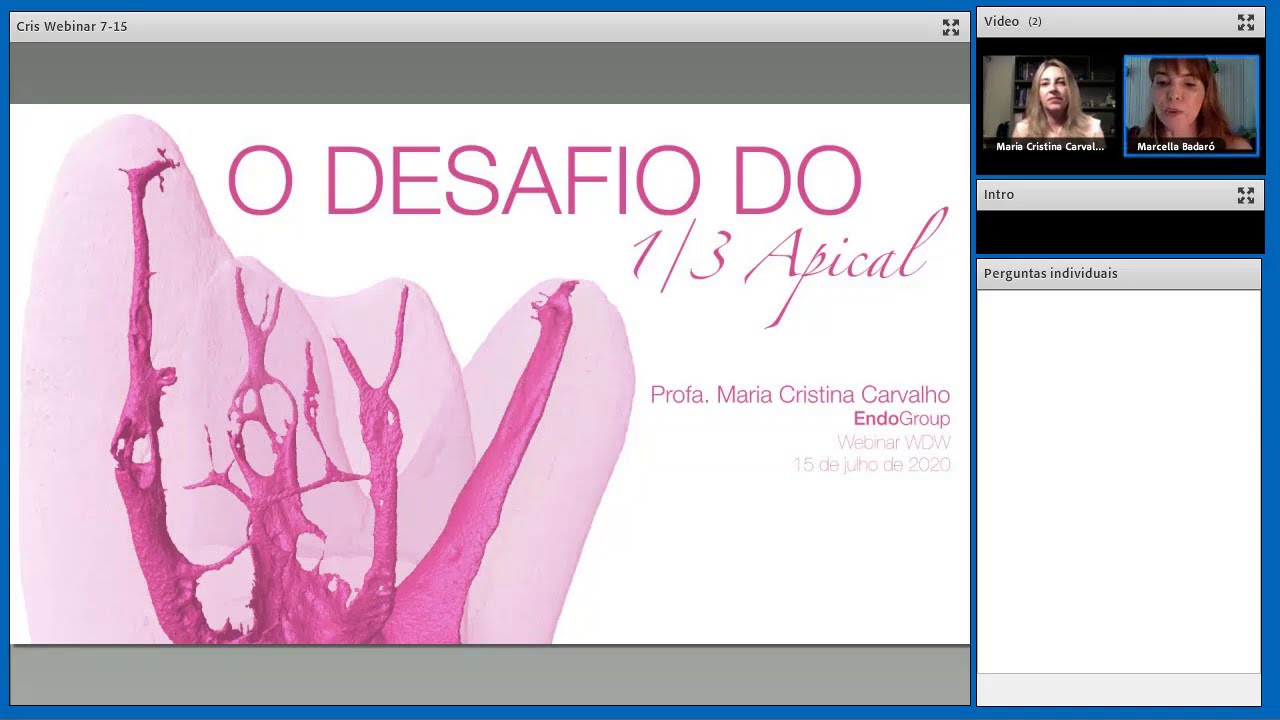 VDW Dental · Webinar: The Challenge of apical preparation in ...