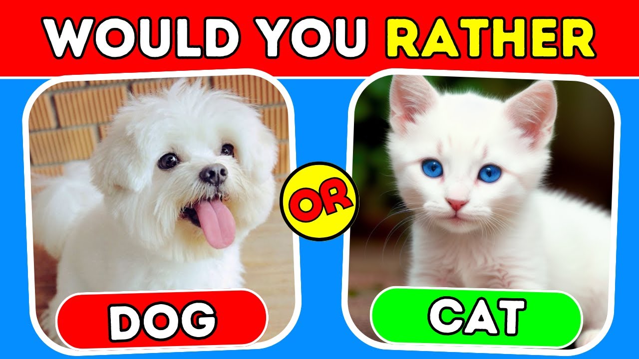 Would You Rather - Animals Edition | Bunny Quiz - YouTube