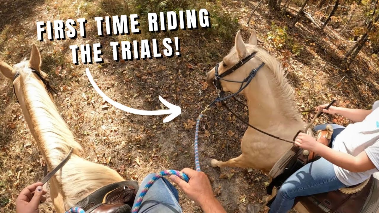 Taking Our Auction Horse, Miracle On A Trail Ride For The First Time ...