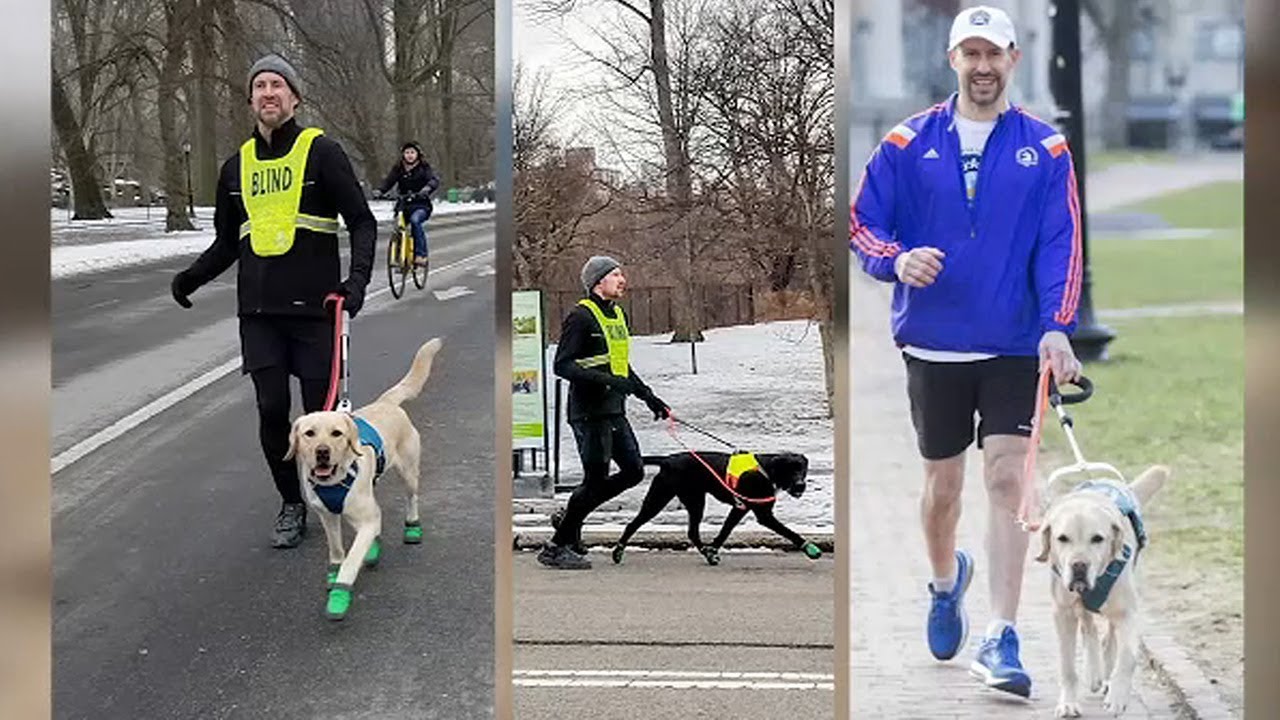 Team of 3 guide dogs to lead blind runner at United Airlines NYC Half ...