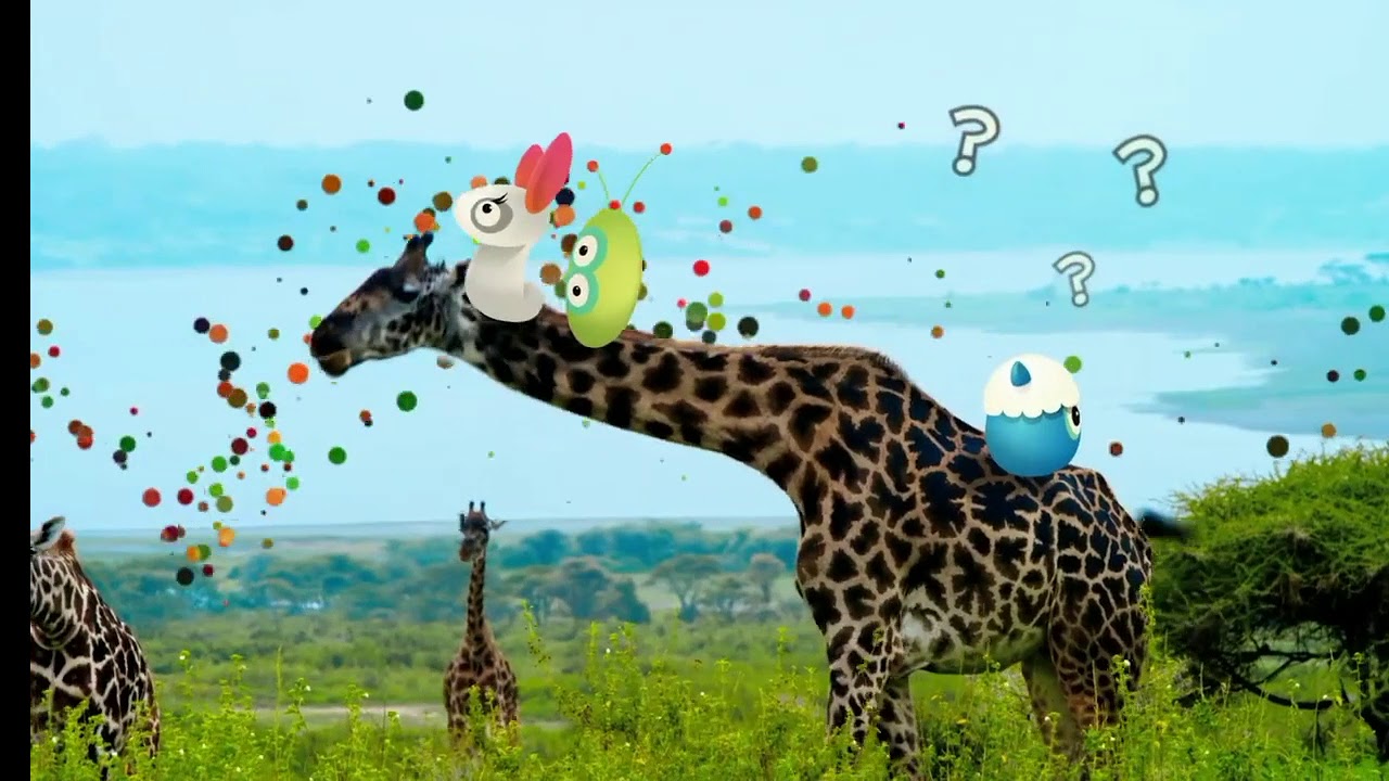 ZooMoo Pedia ELEPHANT Is Video - YouTube