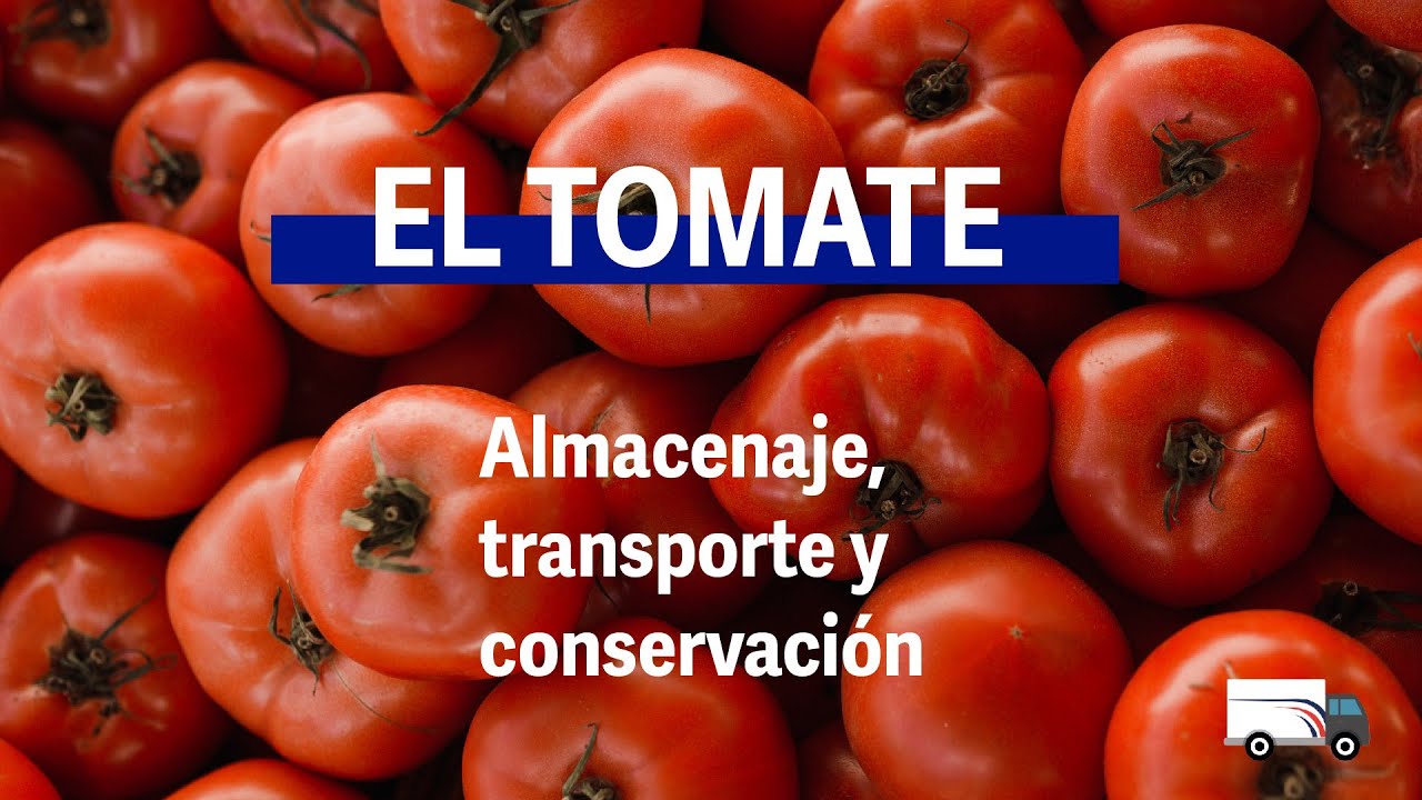 EL TOMATE: ALMACENAJE, TRANSPORTE Y CONSERVACIÓN - YouTube