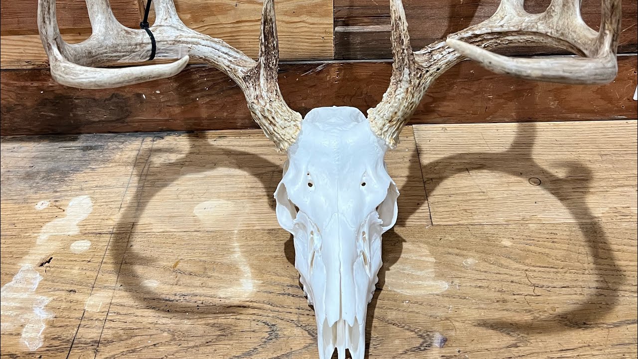 How to: European mount sealing method - YouTube