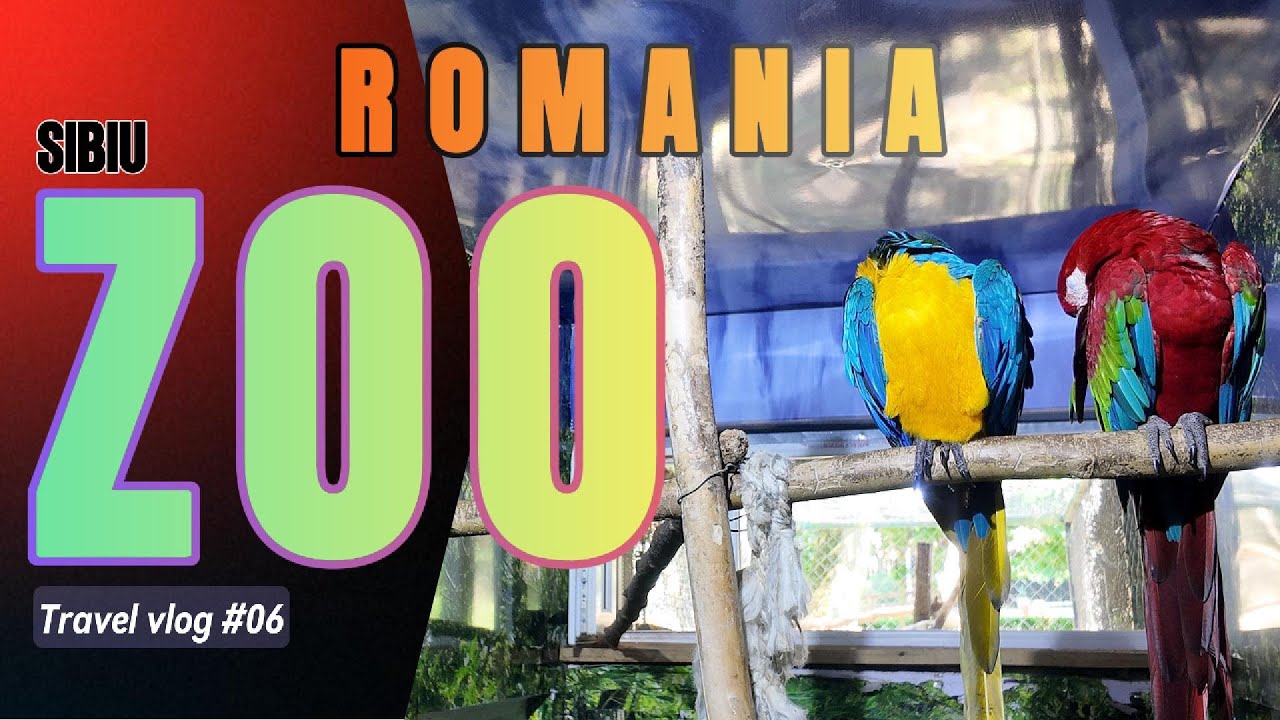 රොමේනියාවේ sibiu වල zoo එකට යමුද | Zoo in Sibiu, Romania - YouTube