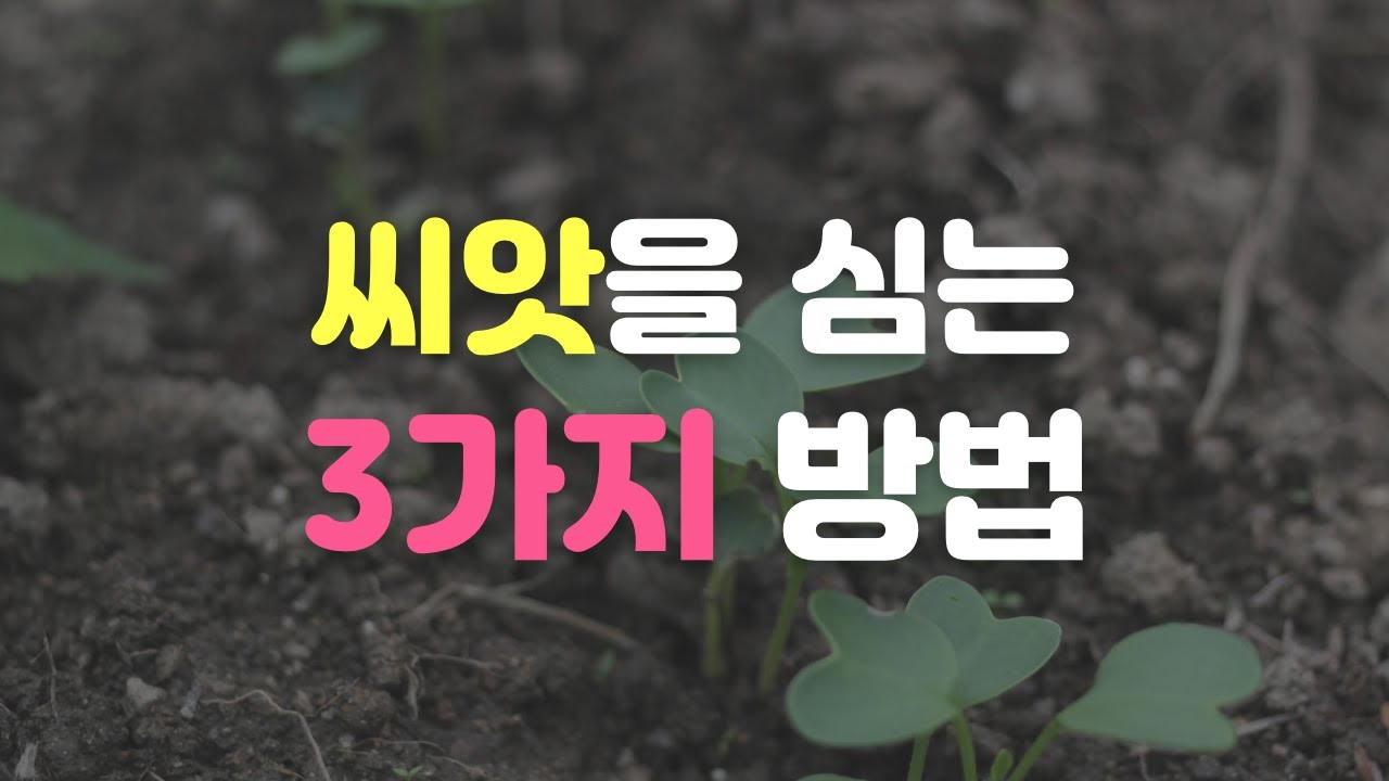 씨앗 파종법 가장 기본적인 3가지 초보 도시농부가 꼭 봐야할 파종방법 점뿌림 줄뿌림 흩어뿌림 How To Sow
