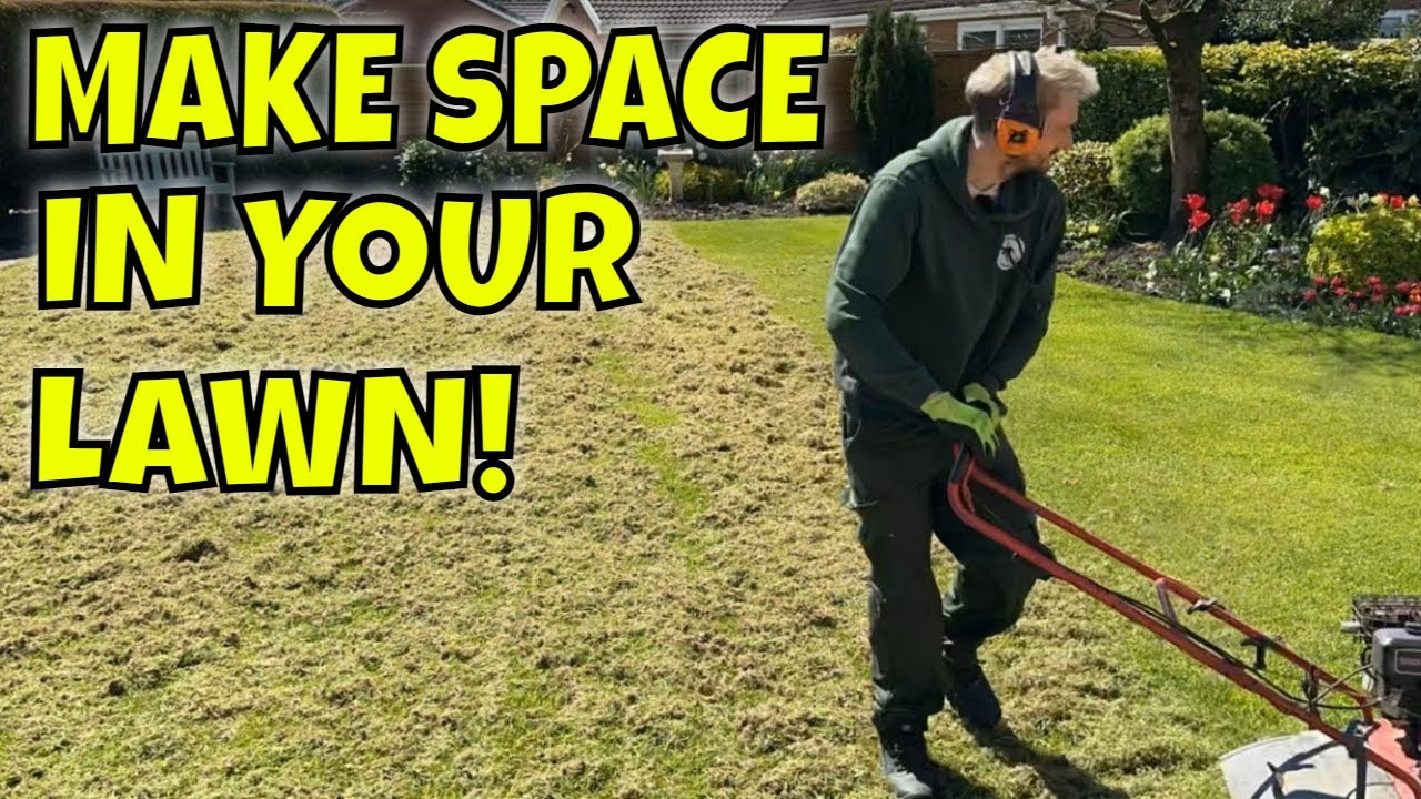 Thinning Out a THICK Lawn EASILY and QUICKLY - YouTube