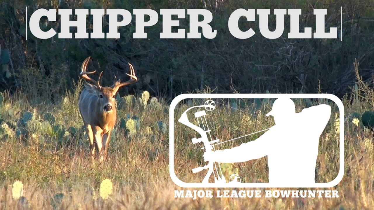 Chipper Jones Texas Bowhunt - Harvesting Cull Bucks | Major League ...