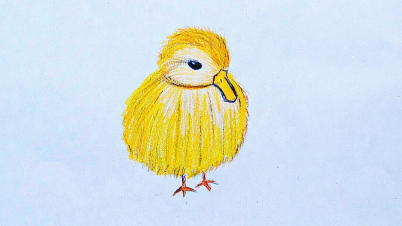Chick Drawing | How To Draw A Cute Chick Step By Step | Art Video - YouTube