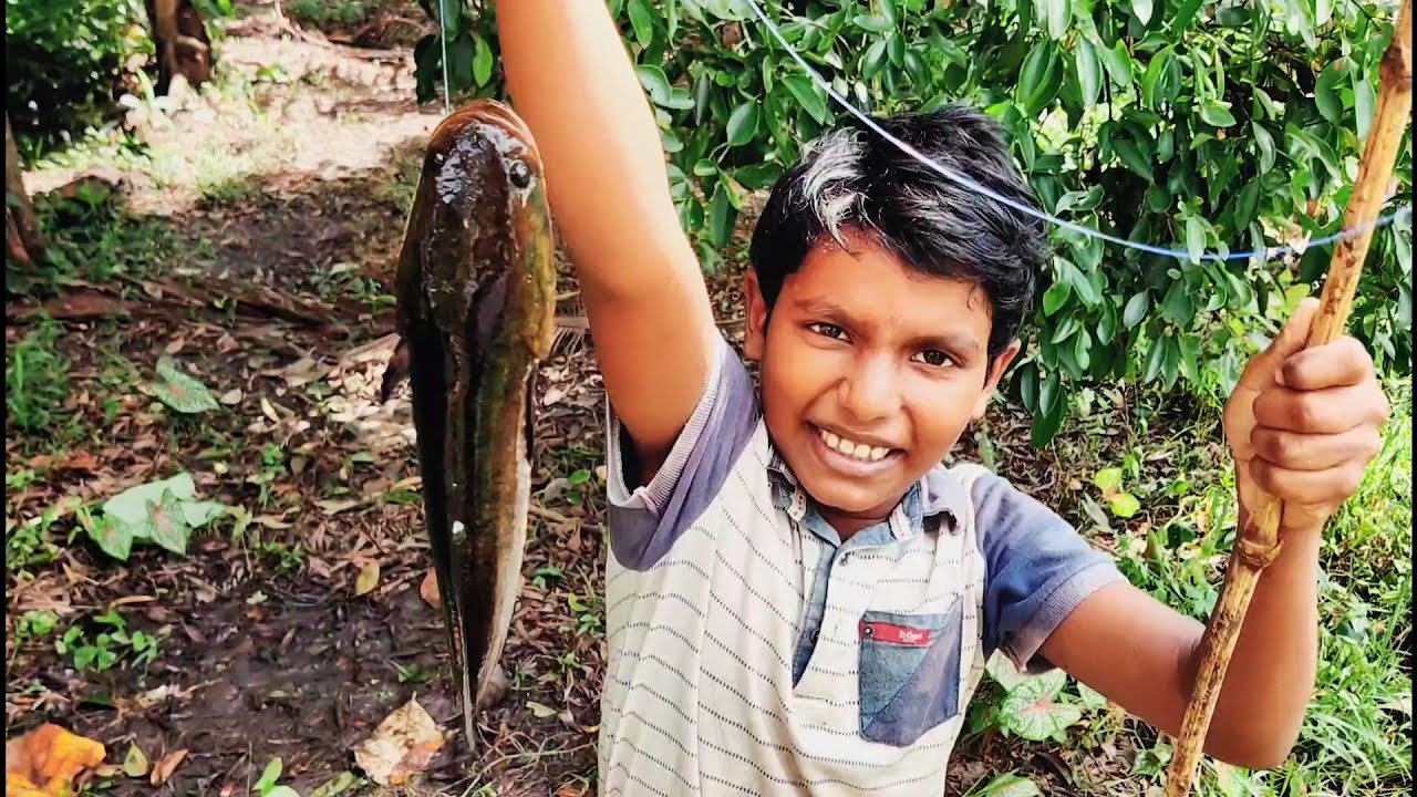 വരാലിനെ ഞങൾ പൊക്കി | Varal Fish Caught 🔥🤙 - YouTube