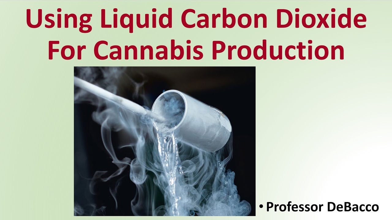 Using Liquid Carbon Dioxide For Cannabis Production - YouTube