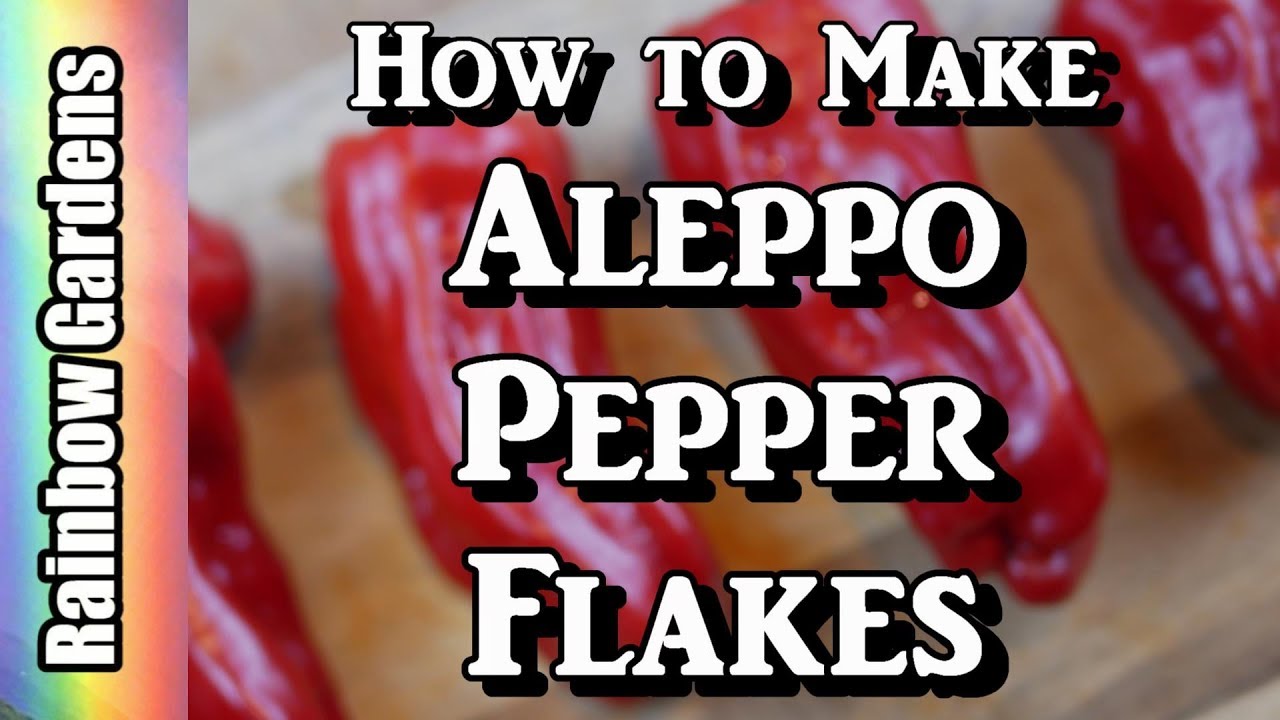 How to Make Aleppo Pepper Flakes / Halaby Pepper Flakes - YouTube