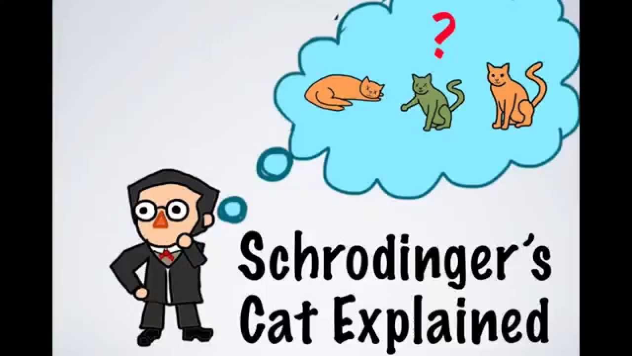 Schrodinger's Cat Explained - YouTube