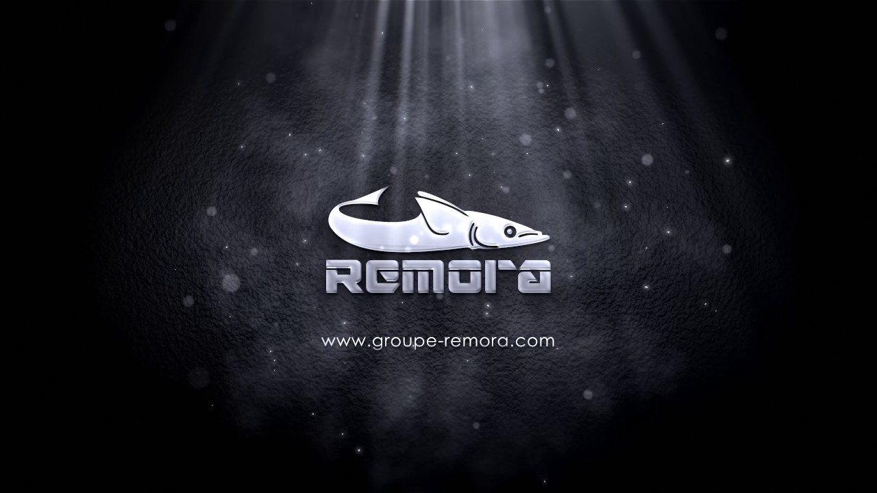 Logo Groupe Remora (4k) Algérie - Graficonet - YouTube