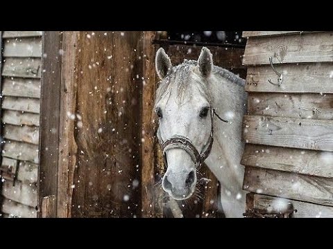 Romantik Ev :Dogadan ilham alan dekorasyon-provans stili-country dekorasyon