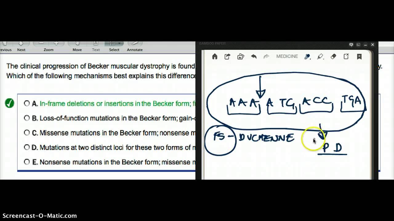 GENETICS : DUCHENNE VS BECKER - YouTube