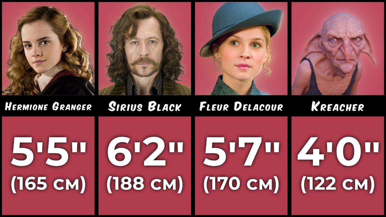Heights of Harry Potter Characters - YouTube