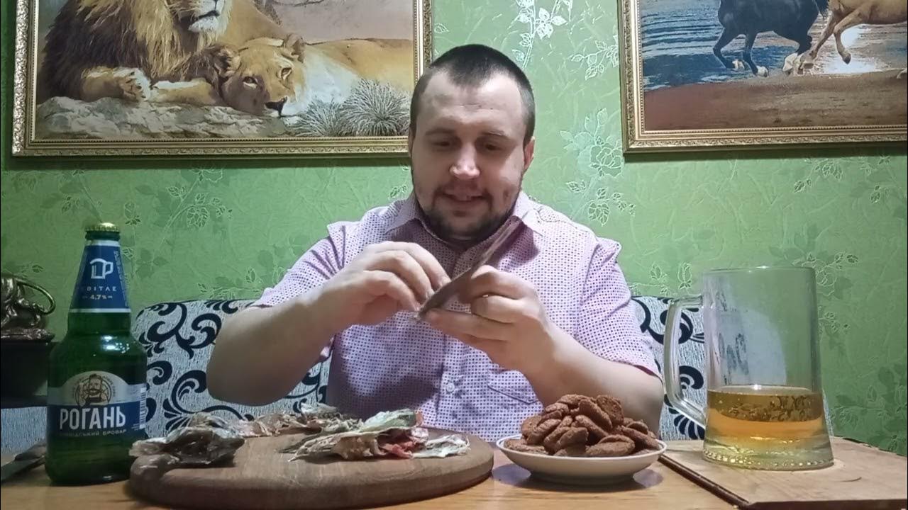 Пиво Рогань Новое - YouTube