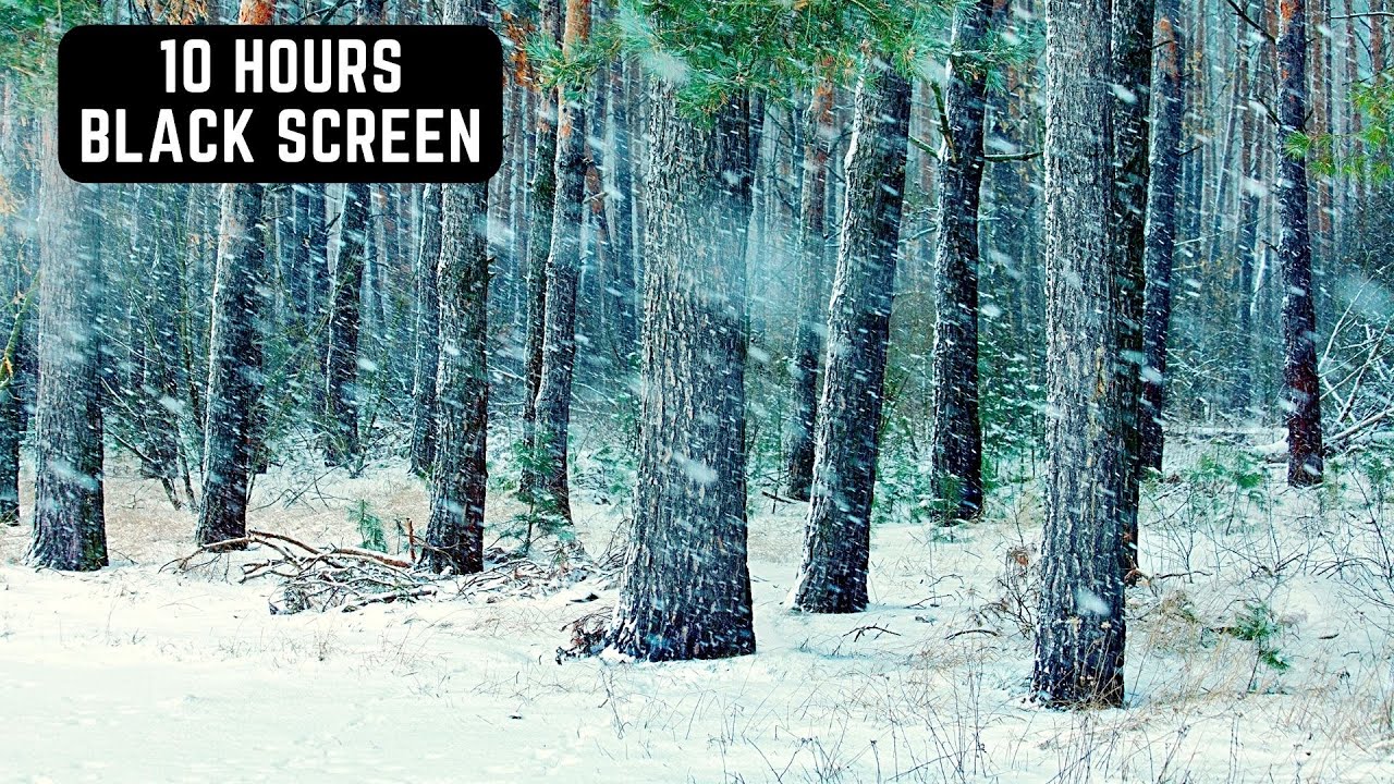 Heavy Snowstorm & Blizzard Sounds - 10 Hours | White Noise | Sleep ...