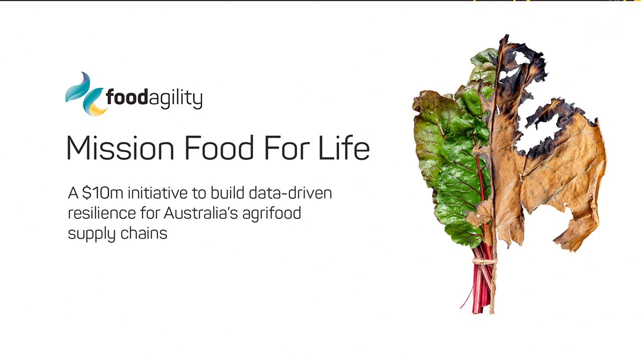 What is Mission Food For Life? - YouTube