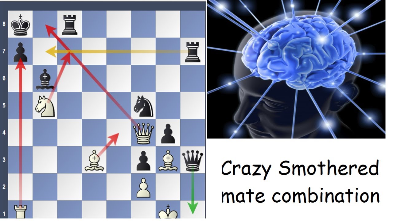 Chess Tricks - Amazing Smothered Checkmate Combination - YouTube