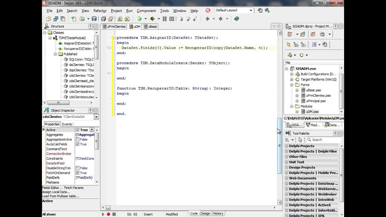 DESARROLLO DE UNA APLICACION CON DELPHI XE2/XE4 Y MYSQL - VIDEO 30 ...