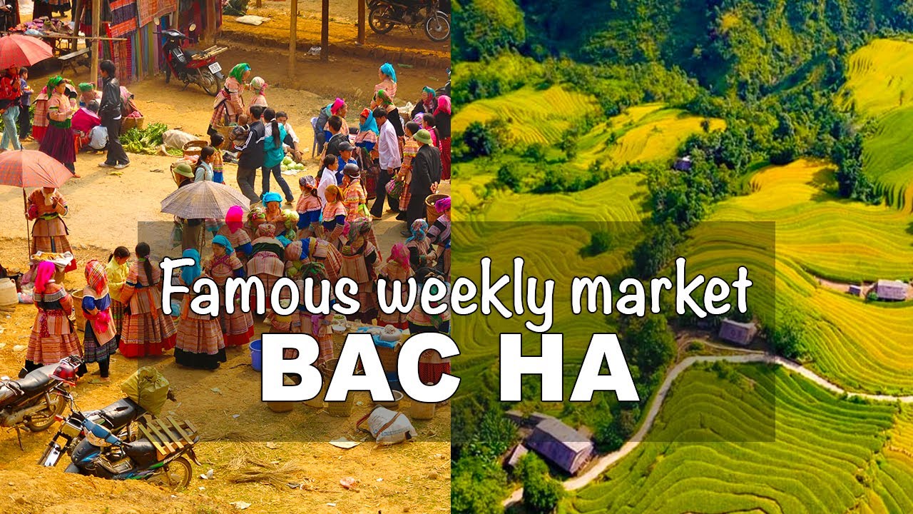 🌱Bac Ha market (Marché de Bac Ha) in Sapa Lao Cai Vietnam #bachamarket ...