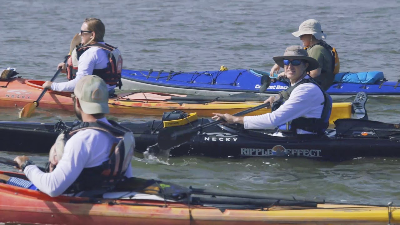 Flagler Coastal Experience with Paddle Florida - YouTube