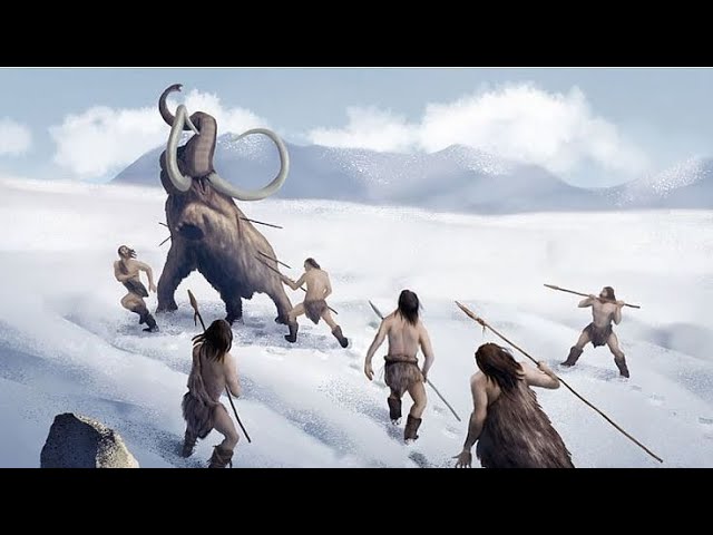 Did Humans Hunt Woolly Mammoths