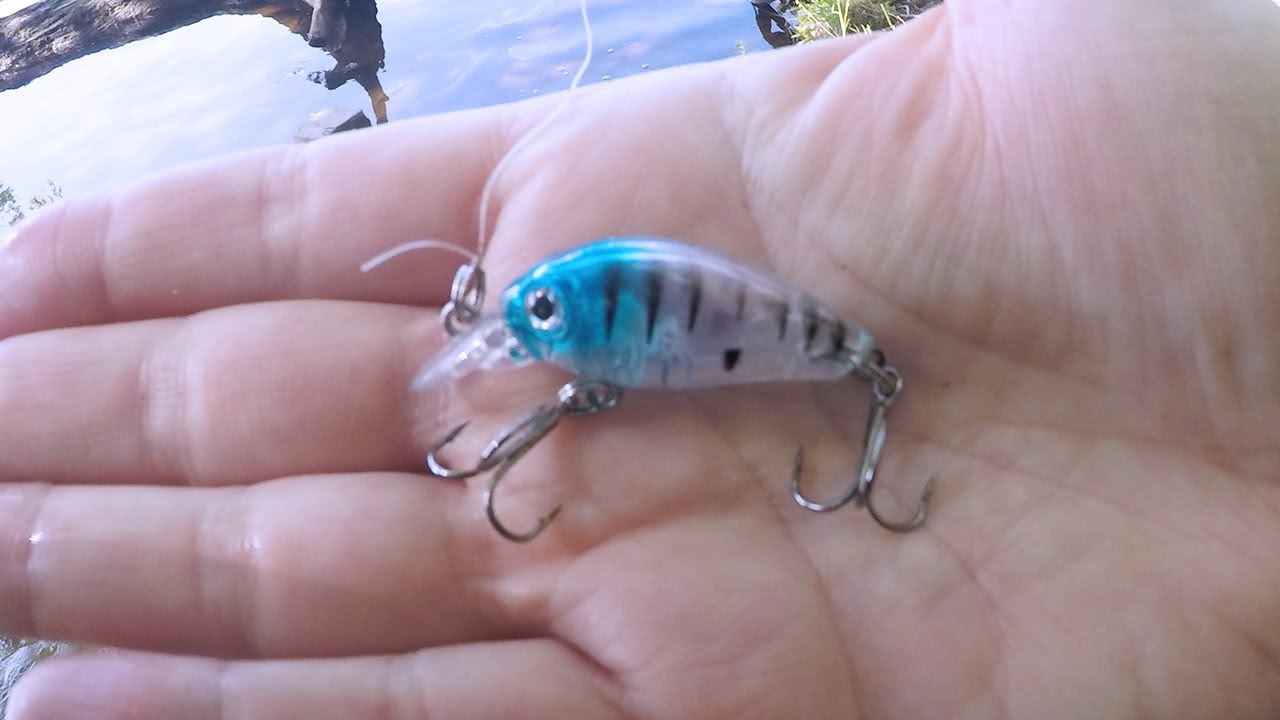 Fishing Small with Mini Crankbait from Temu - YouTube