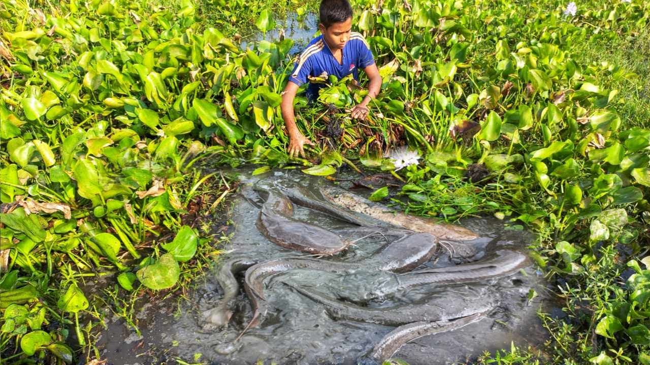 Wow Really Amazing Fishing. Smart Boy Catching Big Fish Under Water ...