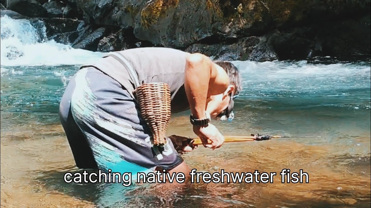 we caught and cooked these delicious native freshwater fish - YouTube