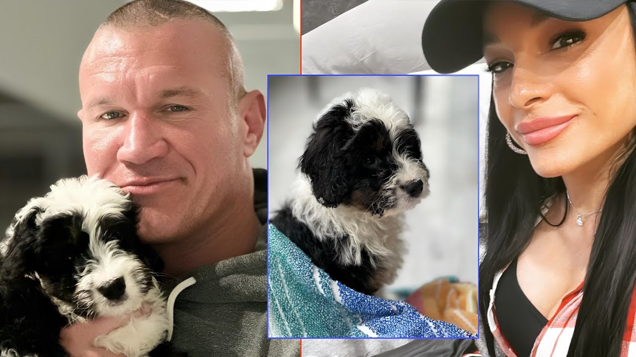 Randy Orton's New Dog Max Steals the Show! Plus, Why He MUST Win at ...
