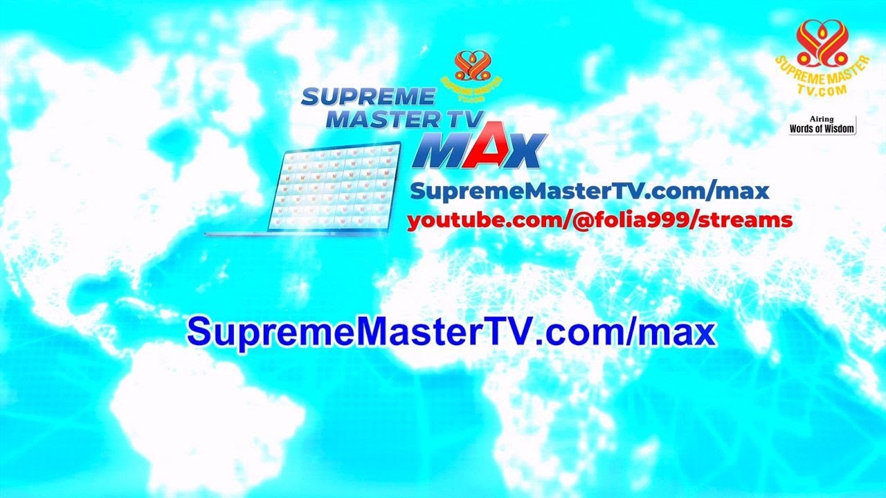 Supreme Master TV Max - Maximize Your Blessings at Home, Work, and ...
