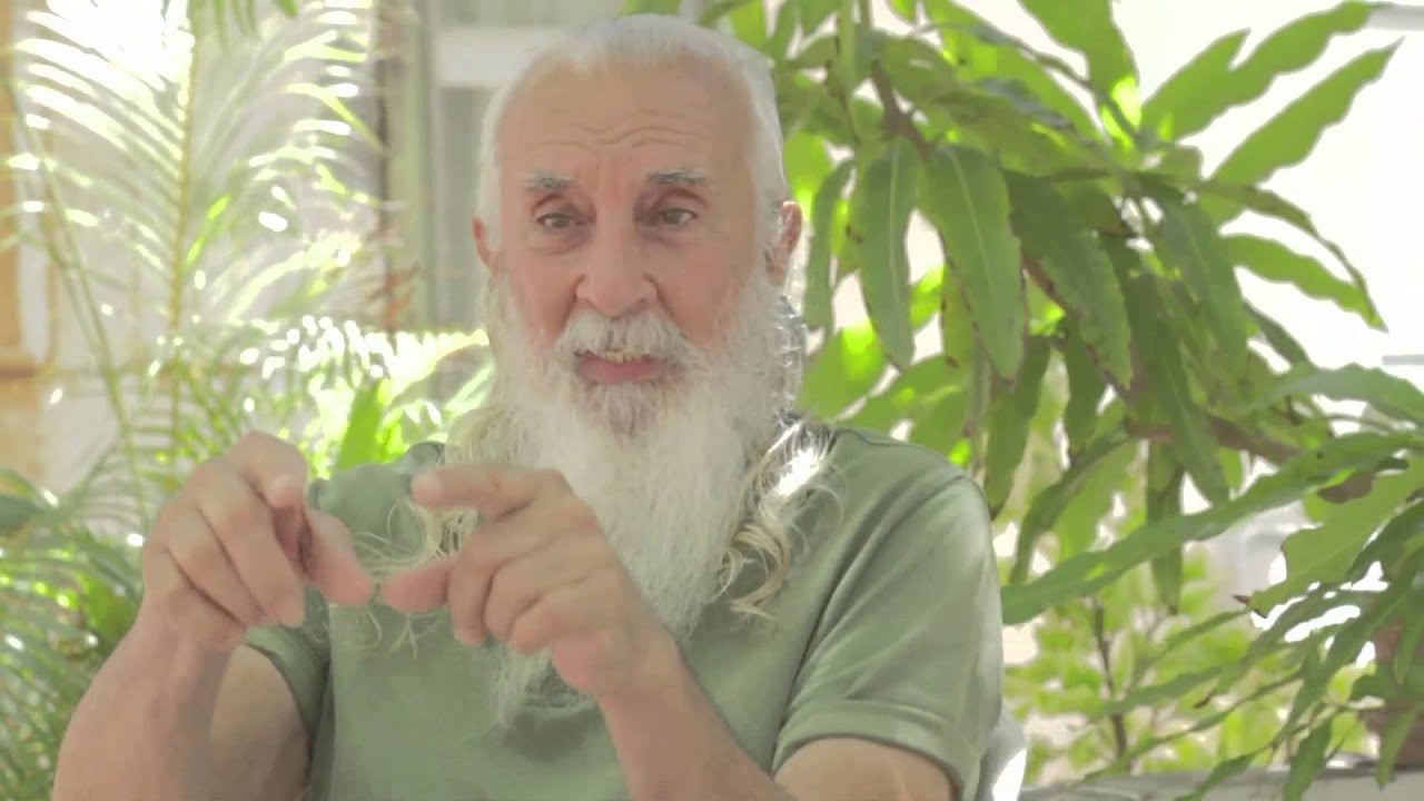 Clara Reyes Film Course @ USM 2015 - YouTube