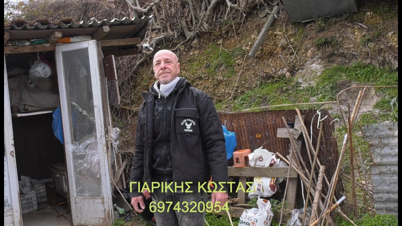 Ο ΚΩΣΤΑΣ ΠΕΤΑΕΙ ΚΑΛΑ ΠΕΡΙΣΤΕΡΙΑ ΑΓΑΠΑΕΙ ΚΑΙ ΤΟΝ ΚΑΖΑΝΤΖΙΔΗ - CLUB ...