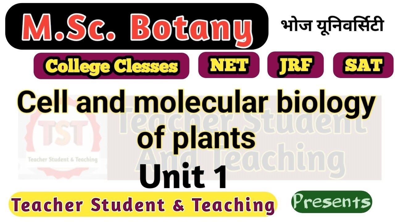 Msc botany - YouTube
