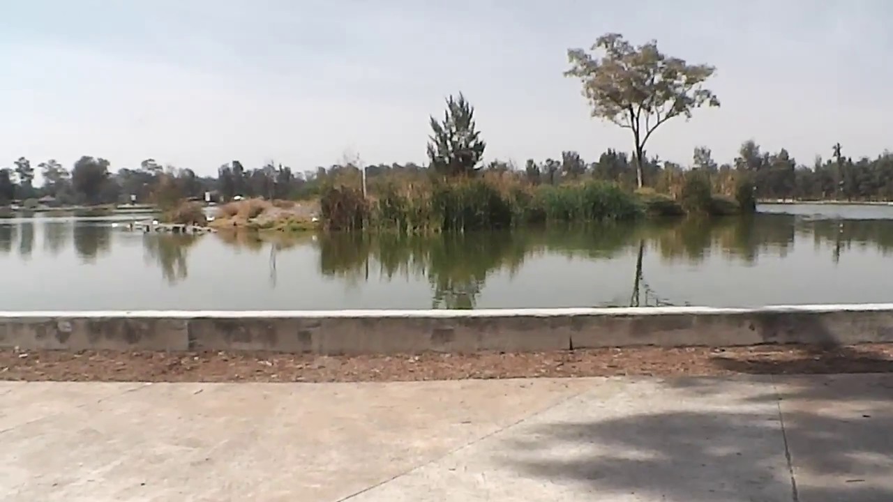 Vista al lago del bosque de Aragon CD MX - YouTube
